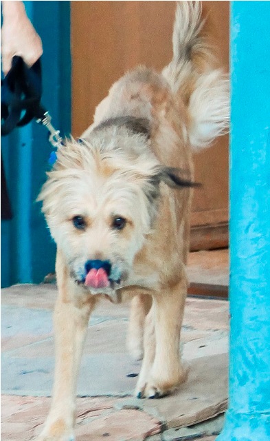 George Clooney mad at Ryan Gosling?