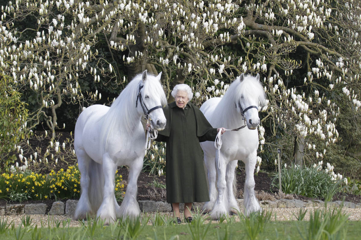 Queen Elizabeth flanked by majestic horses in royally glorious 96th ...
