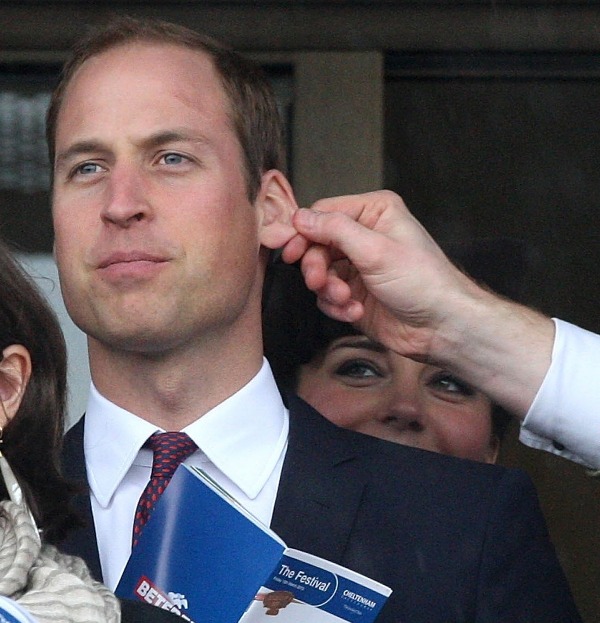 Prince William and Catherine in great spirits at Cheltenham Festival ...