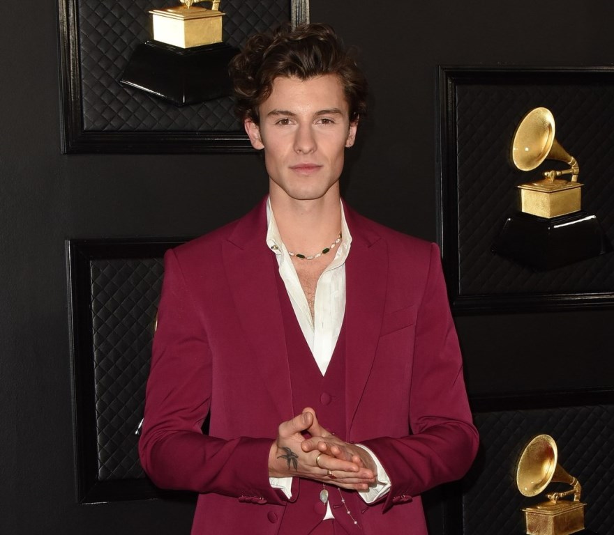 Shawn Mendes struggles with TikTok and unintentionally starts a ...